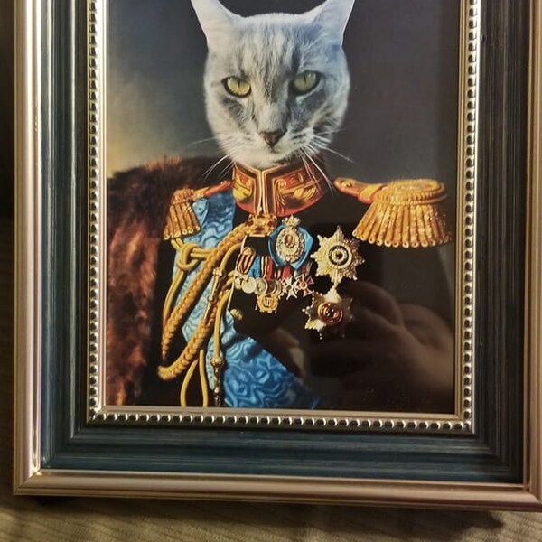 Custom Military Pet Portrait, Renaissance Pet Portrait, Classic Pet ...
