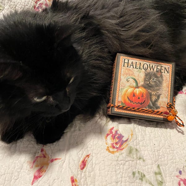 Cute Fox & hey Foxy Lady Wood Block Sign, Cabin Wildlife Critter Shelf ...