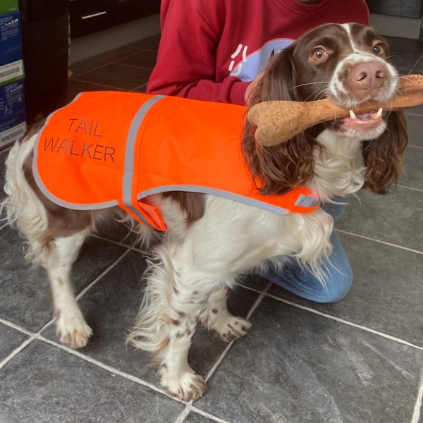 Personalised Dog High Vis Vest Coat Safety Reflective Pet Hi-vis Custom ...