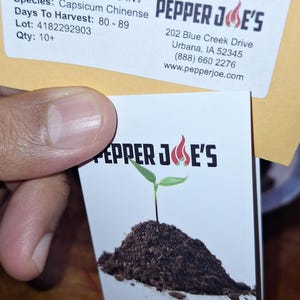 Mosco Chile Pepper Seeds - Etsy