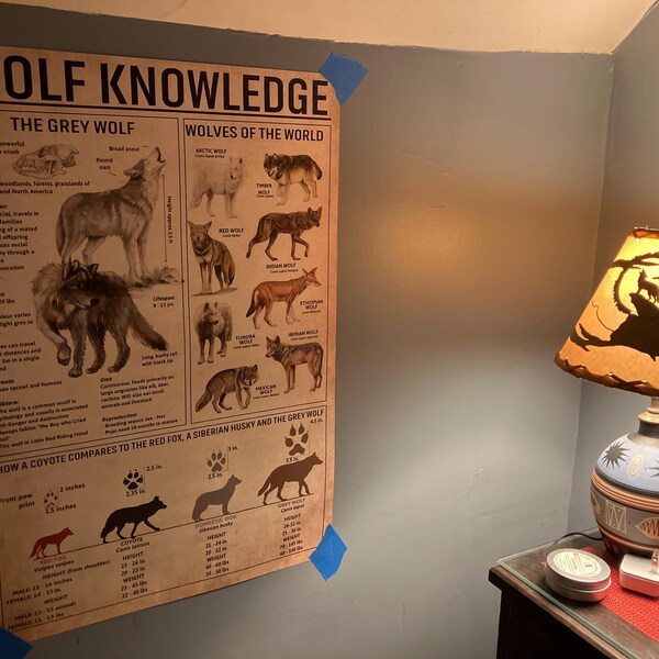 Unframed Body Language Knowledge Poster, Body Language Wall Art Chart, Non-verbal Communication ...