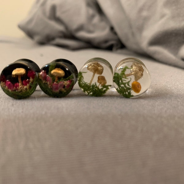 Natural Moss Mushroom Gauges, Real Plug, Mushroom Plug, Real Mushroom ...