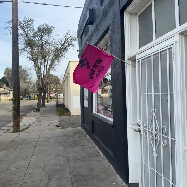 Swamp With Alligator Picture, Louisiana Swamp Wall Hanging, Florida ...