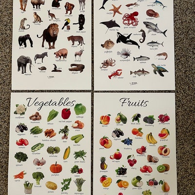 OCEAN ANIMALS POSTER Montessori Poster Montessori Educational ...