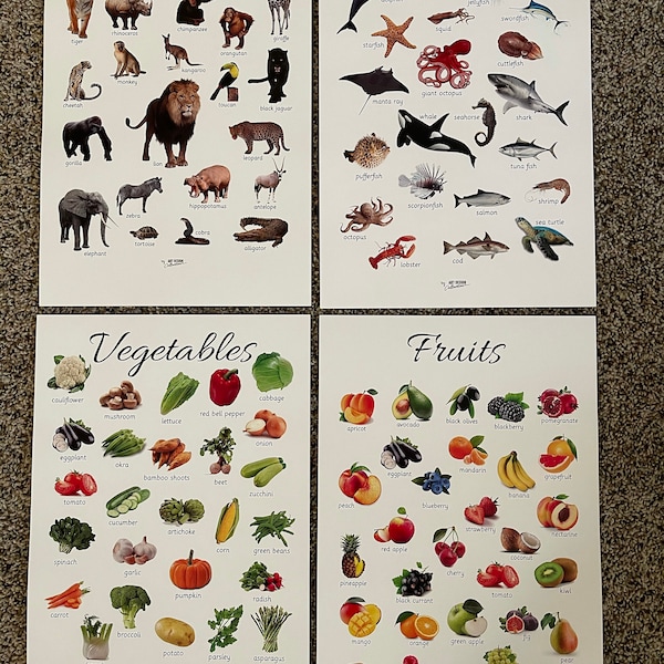 OCEAN ANIMALS POSTER • Montessori Poster • Montessori Educational ...