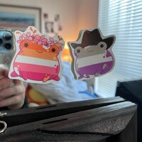 Pride Frog Charity Stickers LGBTQ Flag Frog Gay Pride - Etsy Canada