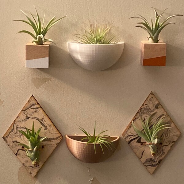 3D Printed Magnetic Air Planter - Etsy