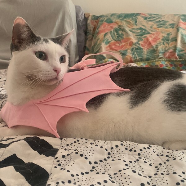 Black Bat Collar - Etsy
