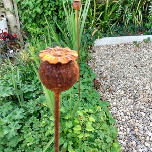Set of 3 Rusty Poppy Seed Head Pattern Naturally Rusting Ornamental ...
