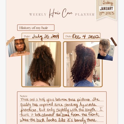 Hair Care Notion Planner, Beauty Hair Planner, Hair Tracker, Digital ...