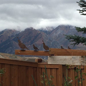 Rustic Metal Raccoon Rusty Yard Art. - Etsy