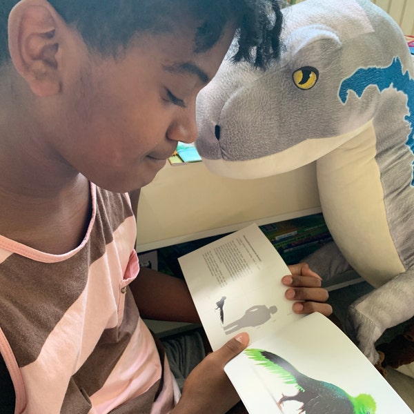 NOVOSAURS Book - Etsy UK