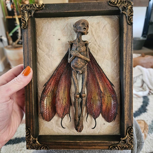 Mummified Dead Fairy Shadow Box – Cryptid Specimen, Gothic Curiosity ...