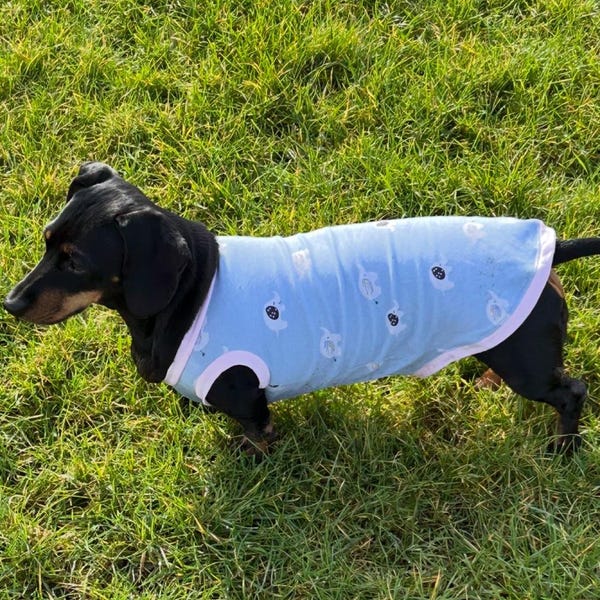 Dog Jacket Sewing Pattern, With Pockets | DIY Dog Coat for Beginners ...