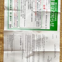 100 japanische Quittensamen. 100 frische Samen Chaenomeles japonica ...