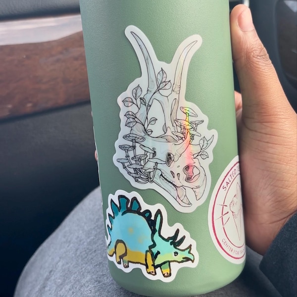 Holographic Dinosaur Stickers - Etsy