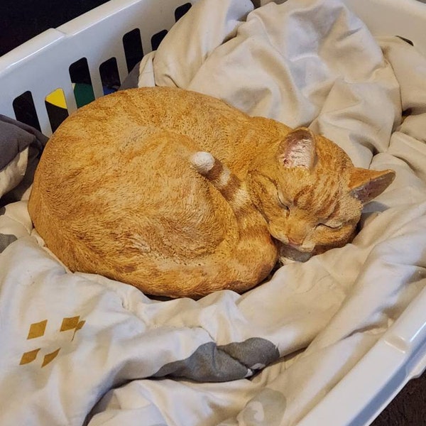 Cat Urn With Personalization *cremation Pet Urn *tabby Cat Funeral ...