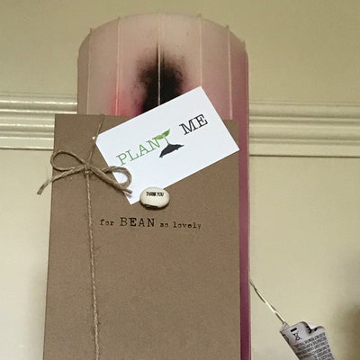 Thank You Card 'magic Message Bean' Thank You Card - Etsy UK