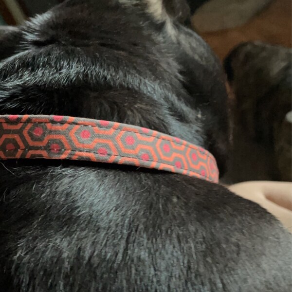 Redrum - Stylish Shining Halloween Dog Collar - Etsy