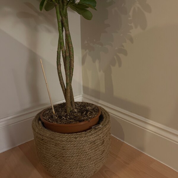 Table Display Rail, Black Metal Rail, Garden Table Display. Wedding ...