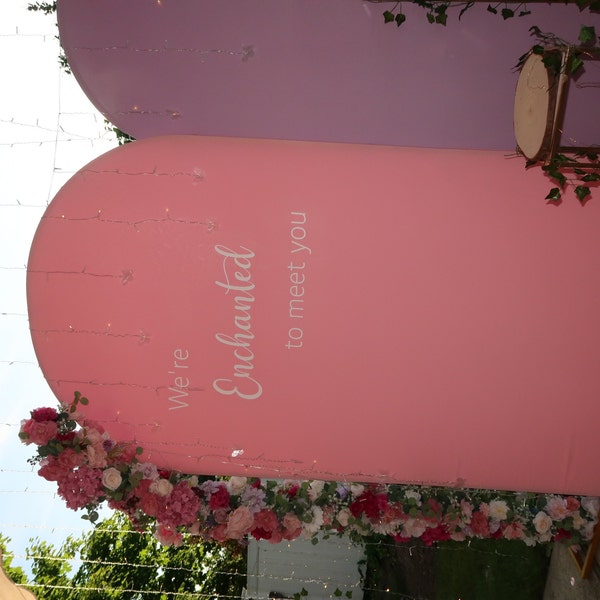 We’re Enchanted to Meet You Decal Iron on or Sticker - Party Custom ...