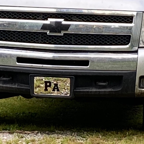 Custom (can Do Any Name) Mirror Laser License Plate Silver/rednew!! - Etsy