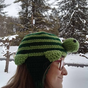 Turtle Hat in Shades of Green - Etsy