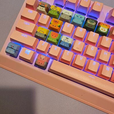 Birdy Keycaps for Mechanical Keyboard - Etsy
