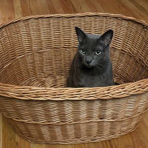 Shallow Laundry Basket, Handwoven Storage Basket, Oval Laundry Basket ...