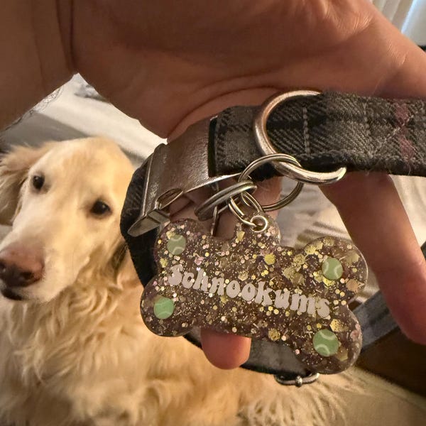 Design Your OWN Custom Pet Tag, Personalized, Custom Dog Tag, Resin Dog ...