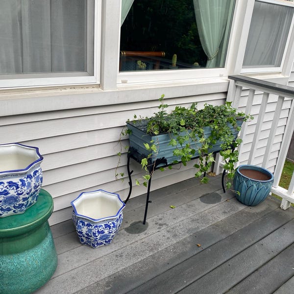 Mitten Tree Drying Rack, Decorative Wrought Iron - Etsy