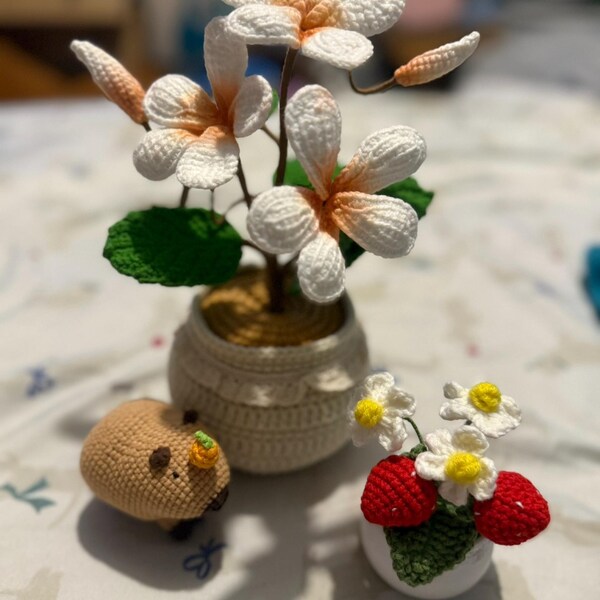 Handmade Crochet Baseball Bat + Ball Set | Football | Basketball | Mini ...