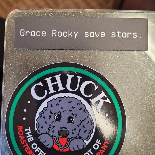 Grace Rocky Save Stars Project Hail Mary Sticker 4x1 - Etsy
