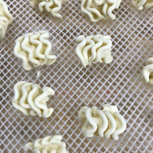 Philips Pasta Disc Soup Pasta | Etsy