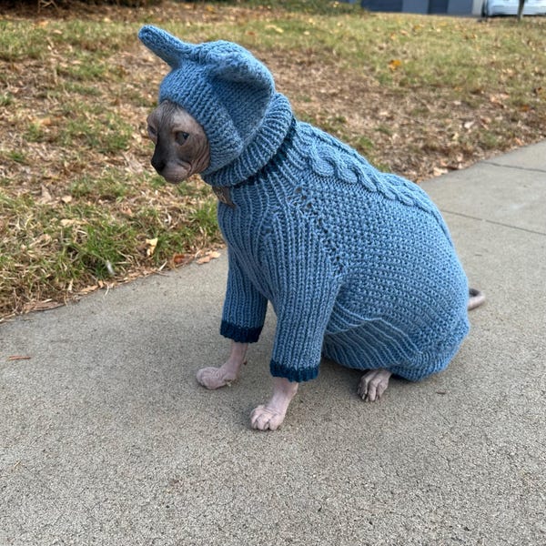 Sphynx Katzen Pullover und Mütze im Set Handgestrickter Katzen Overall ...