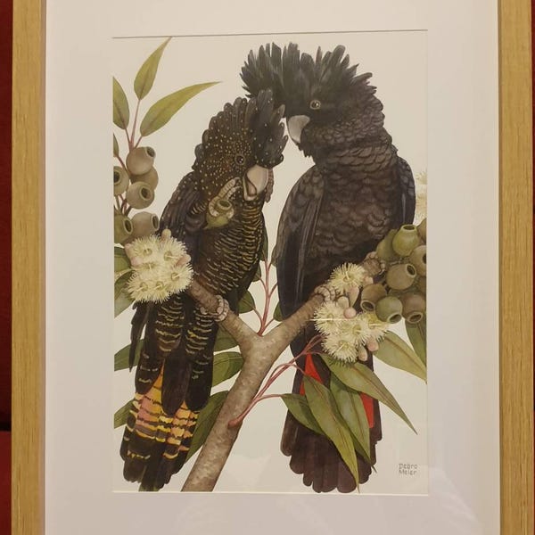 My Country Poem , Inspirational Poem,a Sunburnt Country Poem ...