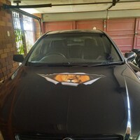 Red Chicken Window Sticker, Car Sticker, Red Chicken Car Decal, Funny ...