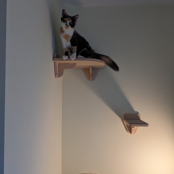 Corner Cat Wall Bed, Cat Shelf, Cat Platform, Cat Furniture, Cat Bed ...