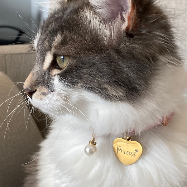 Pet Princess Prince Tags Engraved, Stainless Steel Available in Silver ...