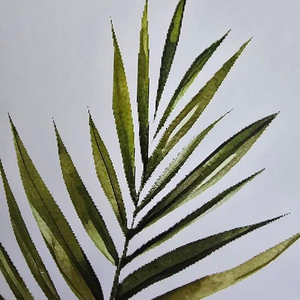 Wedding Bride Silhouette Bundle SVG Files for Cricut, Wedding Dress Silhouette PNG, Bride Cut ...