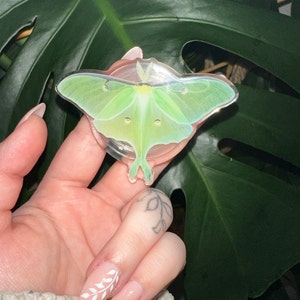 Luna Moth Phone Grip-rare Butterfly Phone Stand-monarch-swallowtail ...