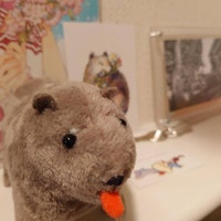 Elephant Shrew Stuffed Toy Native African Animal Shrew Plush Sengi ...