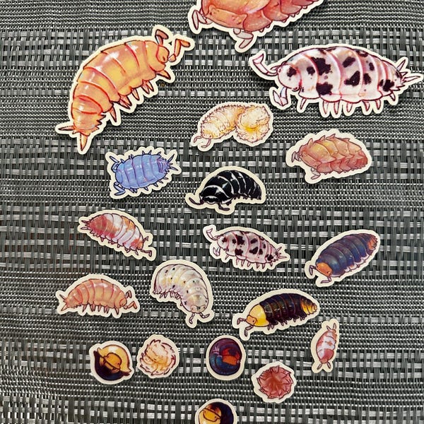 Isopods Vinyl Stickers - 10 Species Variants, Roly Poly, Pill Bug ...