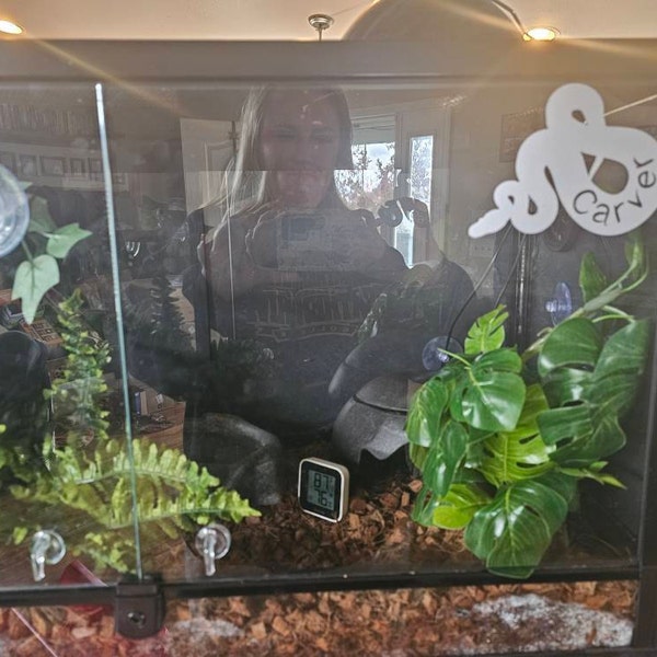 Customizable Name Ball Python Snake Vinyl Decal (READ DESCRIPTION) - Etsy