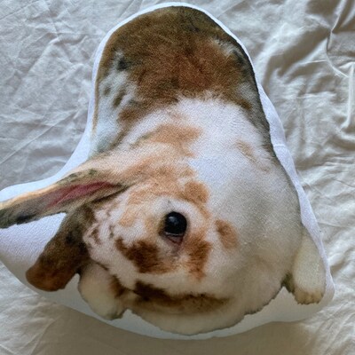 Memory Pillow Pet Memorial Custom Pet Portrait - Etsy