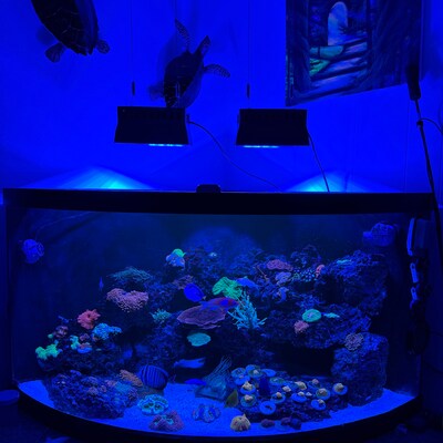 Nano Frag Table 2pac / Two Included Freestanding Frag Rack With Screw ...