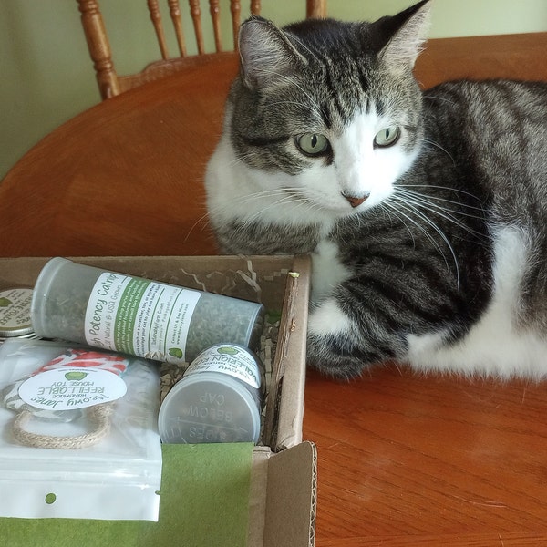 Catnip Alternative Variety Box - Catnip, Valerian, Silvervine Powder, Matatabi Sticks and ...