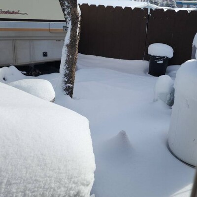 Enlisted Aircrew Wings Decal basic USAF Full Color, Aircrew Badge ...