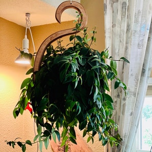 Cactus Plant Stand Side Table Plant Shelf Wood Table Gift - Etsy