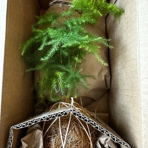 Vintage Envelope Letter Packs Antique Style Blank Letter With - Etsy